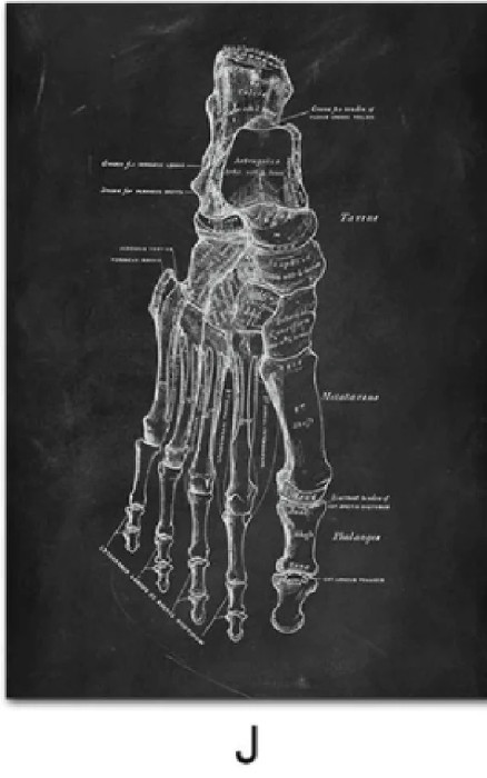 Dětská noha obouvání